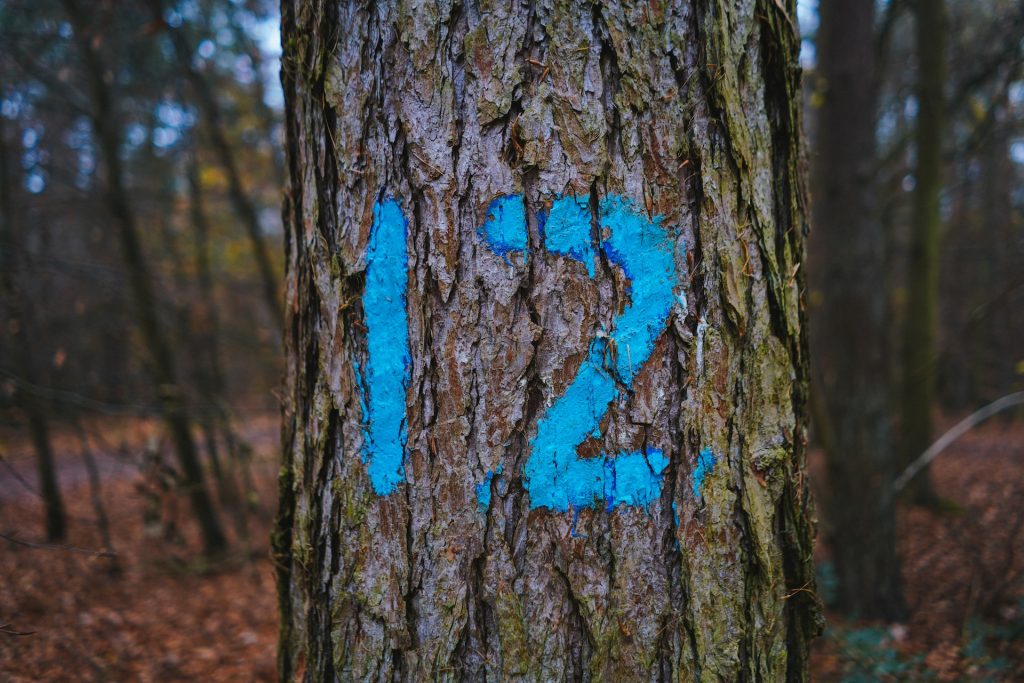 Numerology Number 12 Personality Love Career More Numerology Number 12 Personality Love Career More